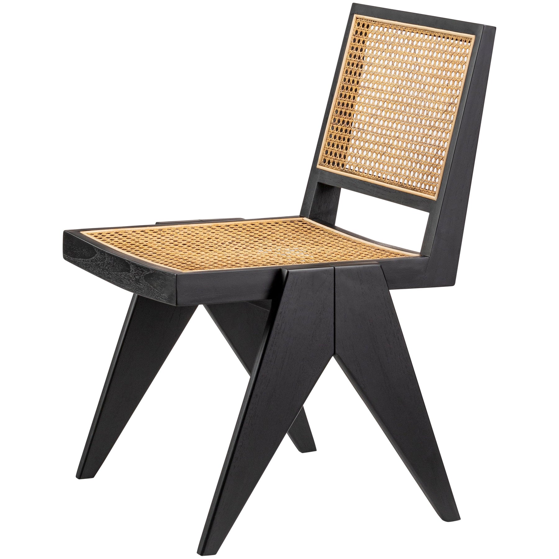 Surya Hague Modern Set of 2 Rattan & Black Wood Dining Chairs ...