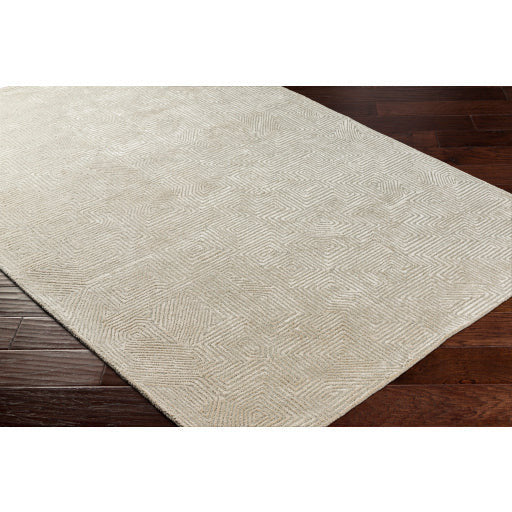 Surya Rugs Addison Collection Beige Pattern Area Rug ADD-2304 ...