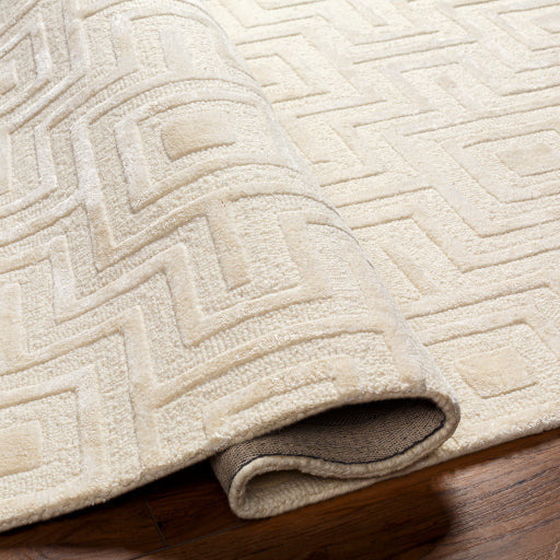 Surya Rugs Addison Collection Cream Pattern Area Rug ADD-2300 ...