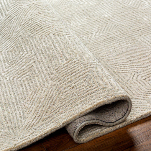 Surya Rugs Addison Collection Beige Pattern Area Rug ADD-2304 ...